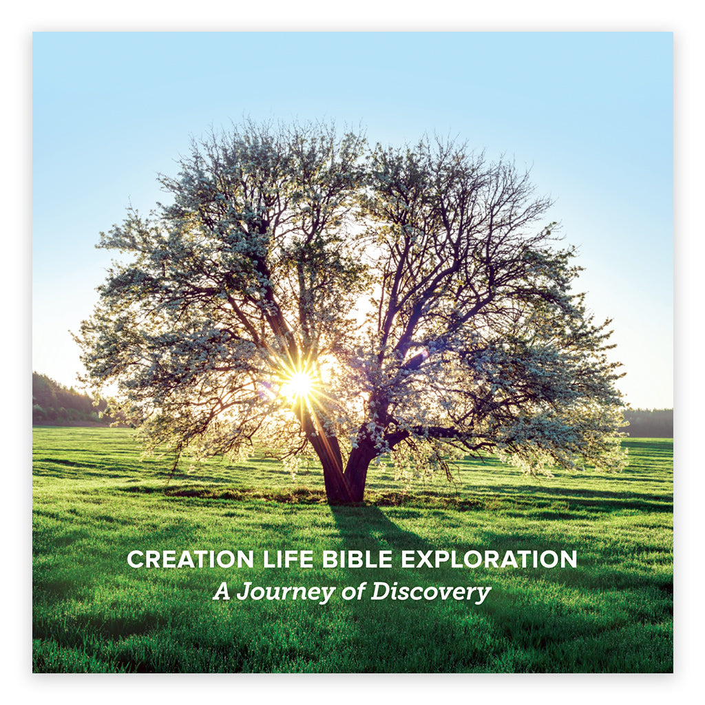 CREATION Life Bible Exploration Book – CREATION Life by AdventHealth